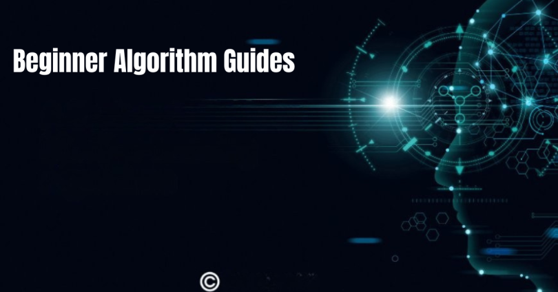 Beginner Algorithm Guides: Learn Algorithms Step By Step